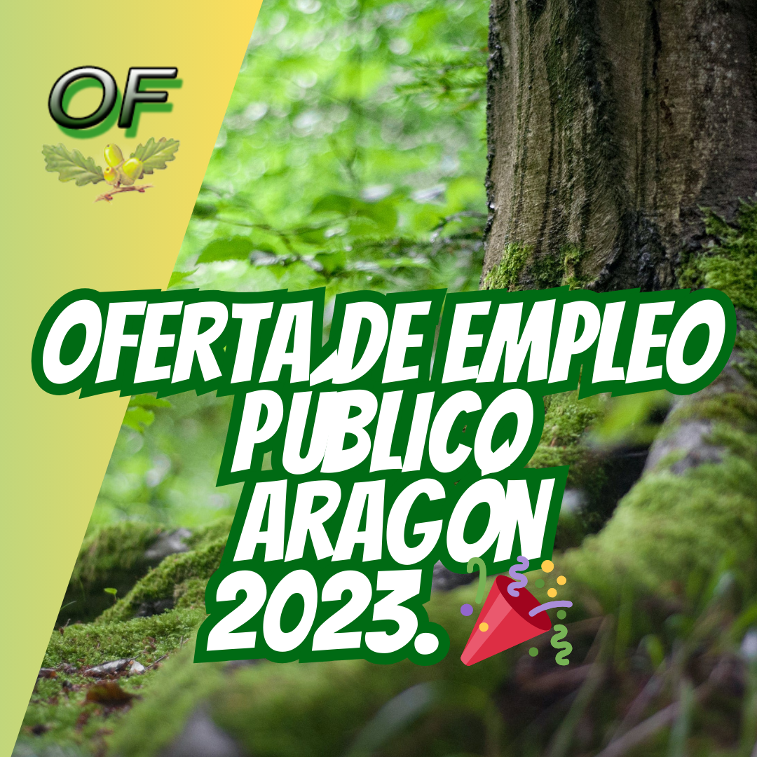 Oferta de Empleo Público Aragón - 2023. 🎉 - Preparación de Oposiciones ...